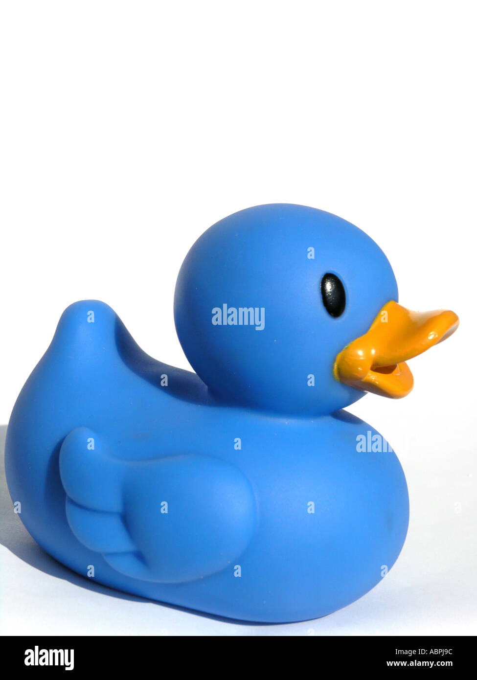 Blue Rubber duck against a white background Stock Photo - Alamy