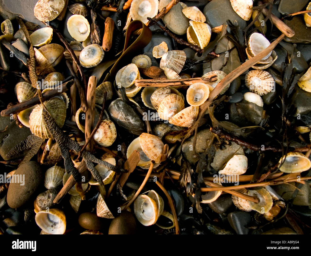 West shore beach wales hi-res stock photography and images - Alamy