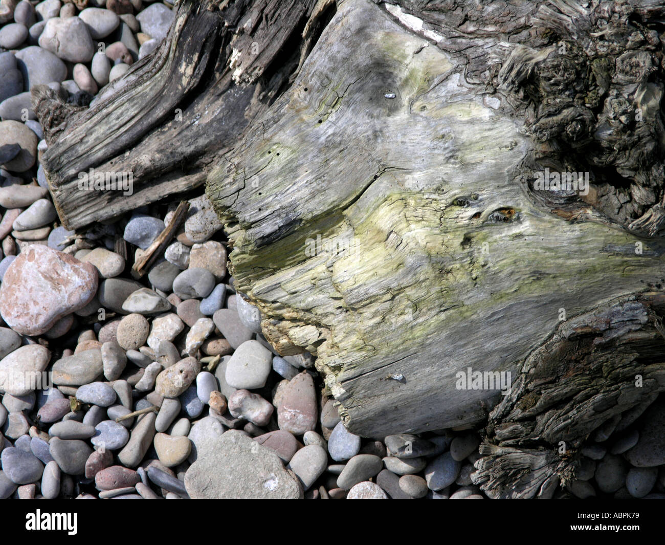 log and pebbles on the beach Stock Photo - Alamy