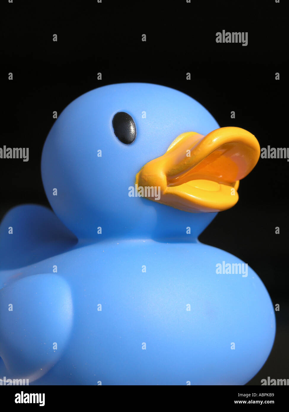 Toy shaped duck hi-res stock photography and images - Alamy