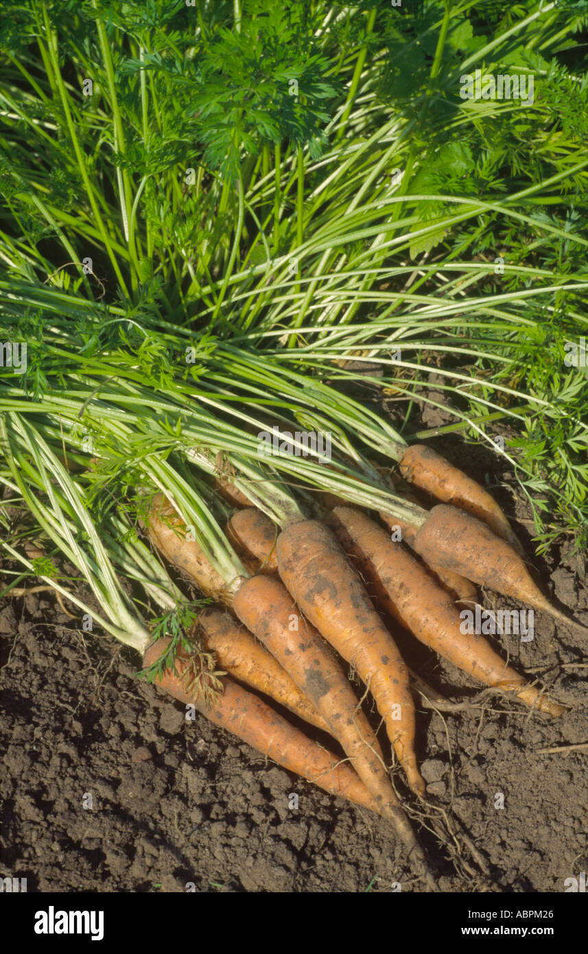 Lifted from ground hi-res stock photography and images - Alamy