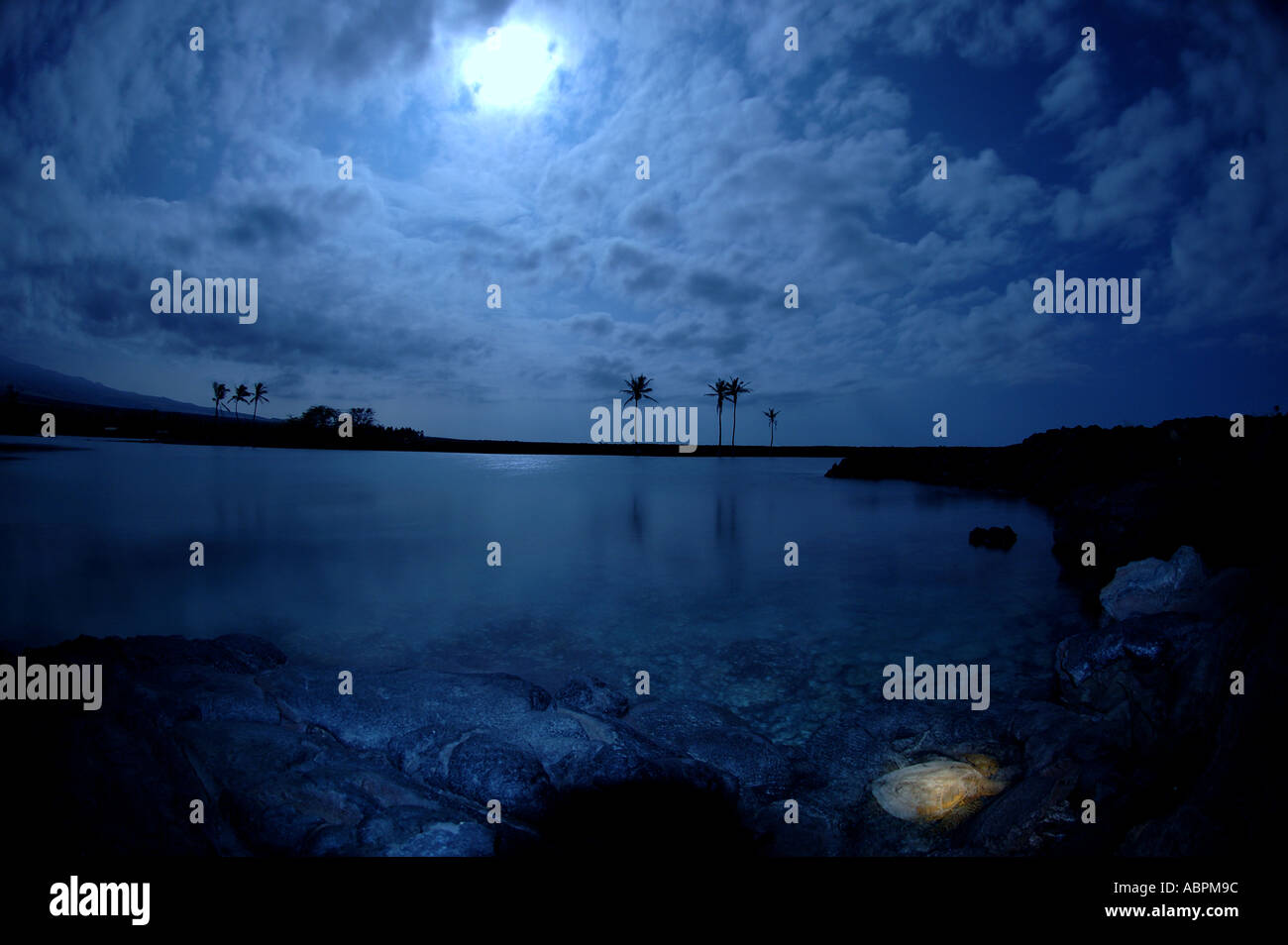 Kiholo bay fish ponds under the full moon Resting Turtle on the lower ...