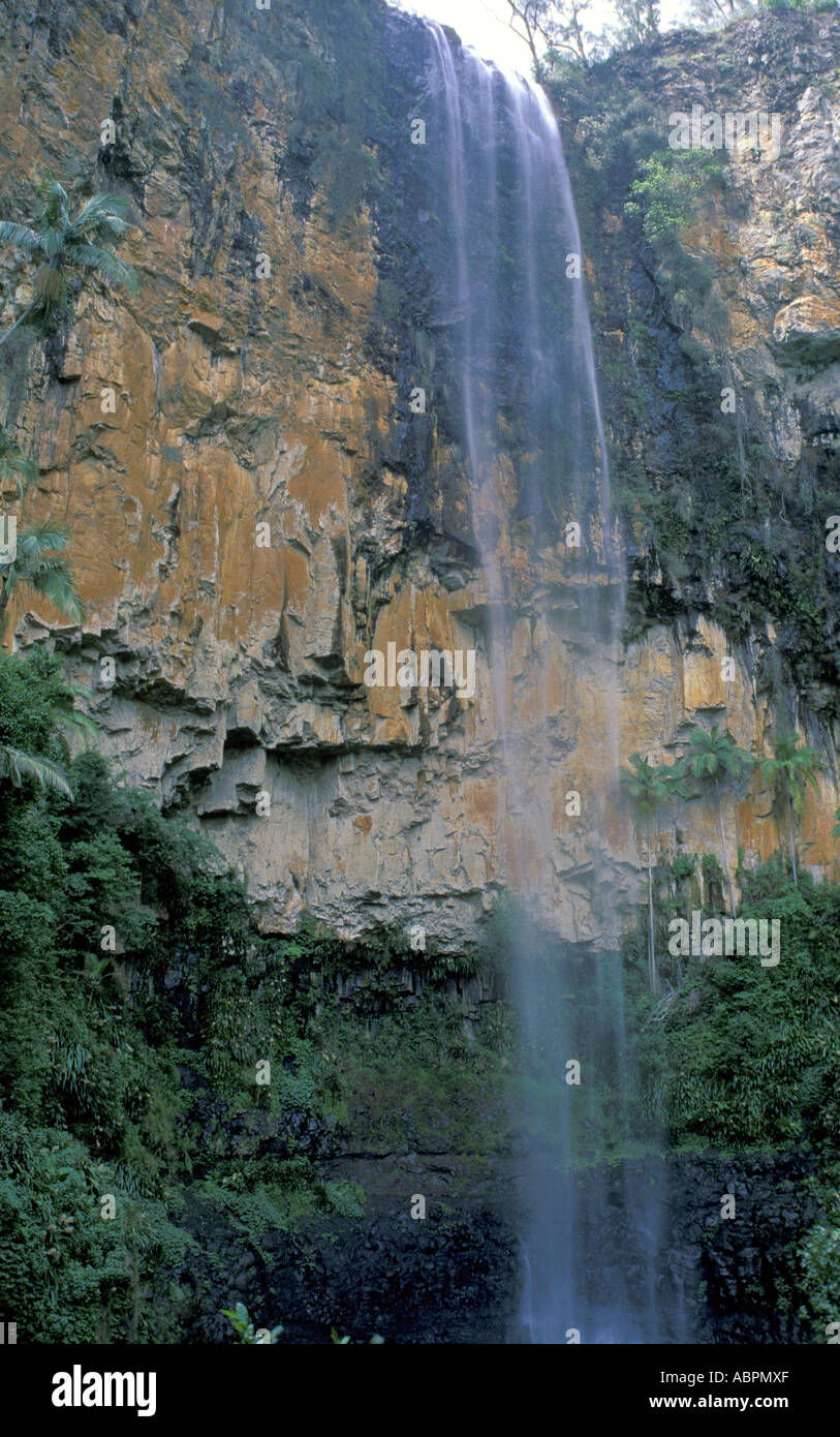 Purlingbrook Falls Springbrook National Park Queensland Australia Stock ...