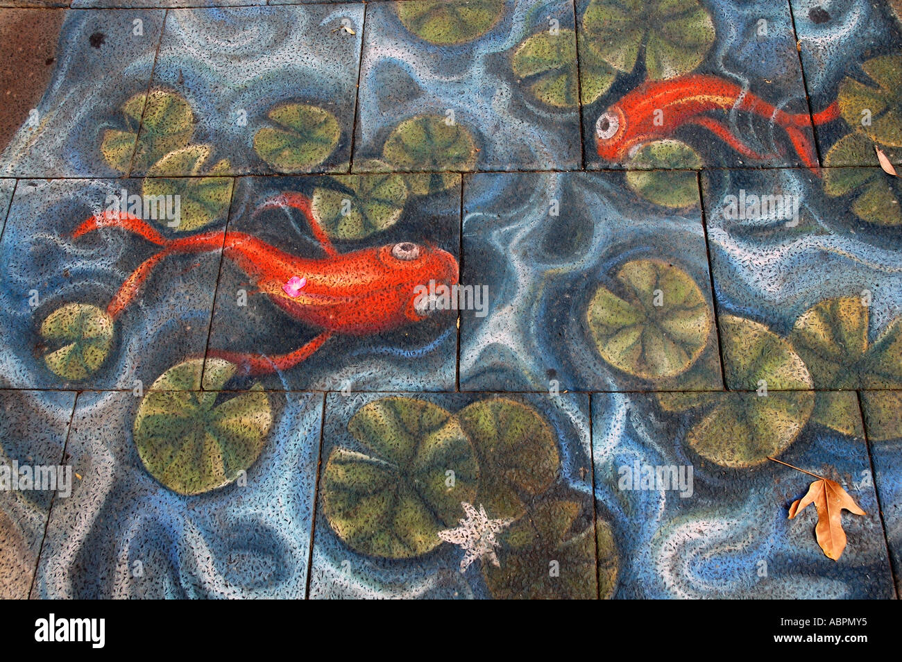 Chalked street art of fish in a pond Fremantle pavement city of Perth ...