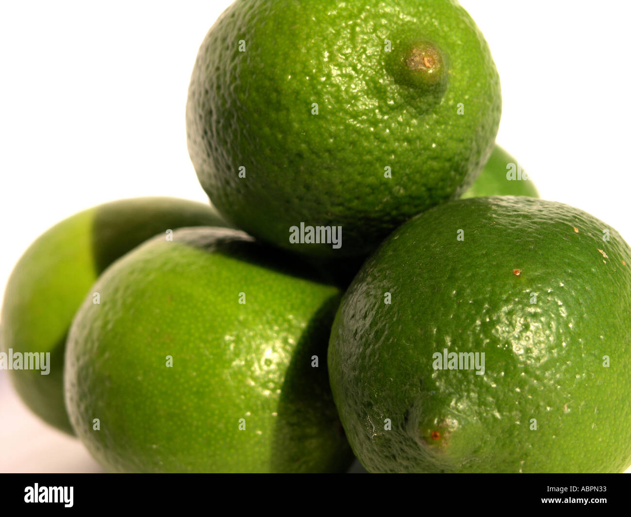 Uncut whole lime fruits against a white background Stock Photo - Alamy