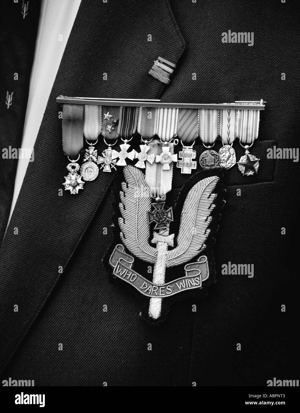 Regimental Emblem Black and White Stock Photos & Images - Alamy