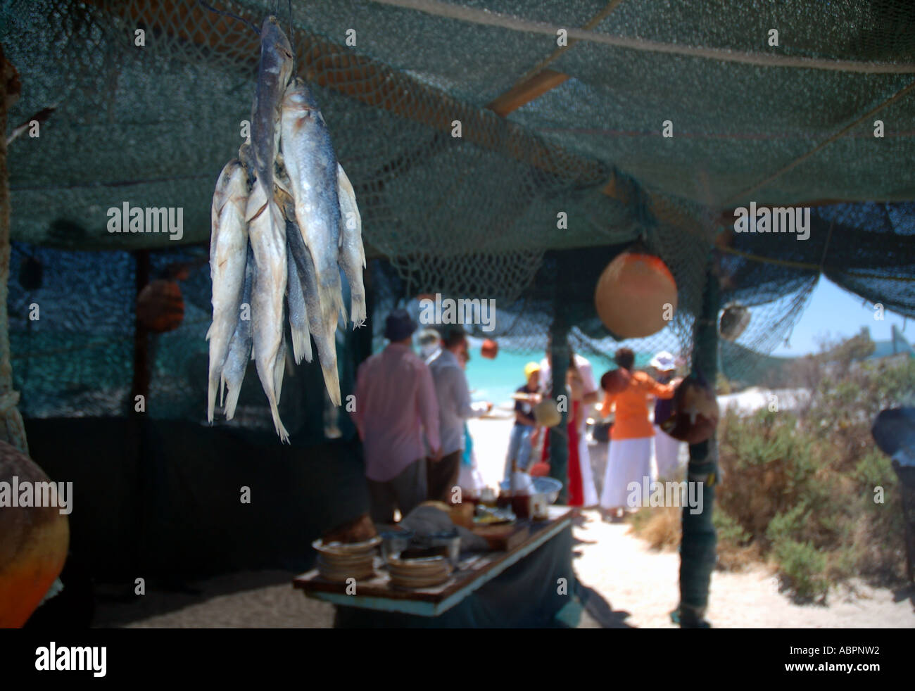 Dried fish or bokkoms a local delicacy in beach bar, Langebaan, Western ...