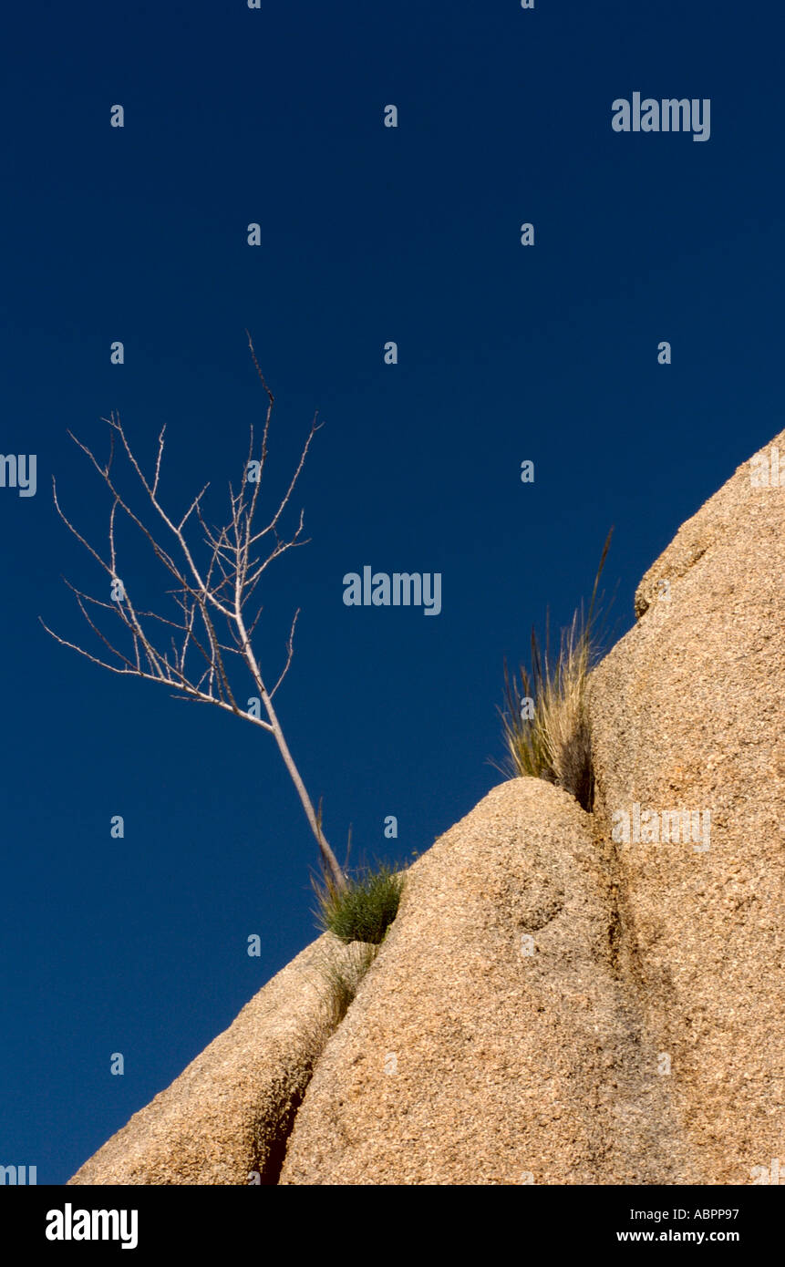 Singular rock hi-res stock photography and images - Alamy