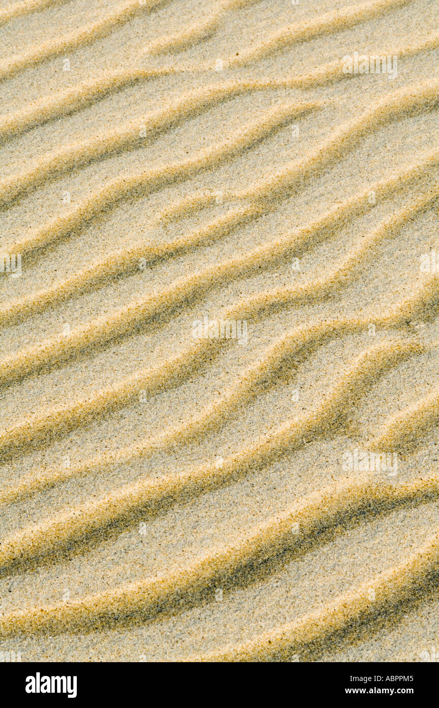 Current sand ripples with windblown sand, Isle of Harris, Outer ...