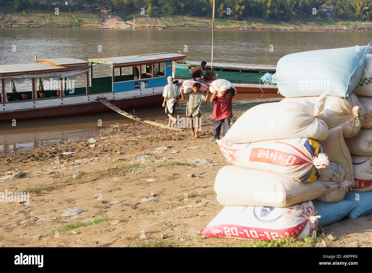 Man carrying heavy bag rice hi-res stock photography and images - Alamy
