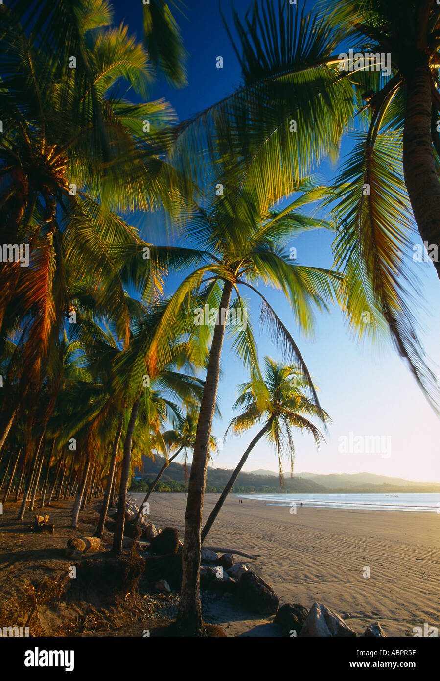 Playa Samara Nicoya Peninsula Guanacaste Costa Rica Stock Photo - Alamy