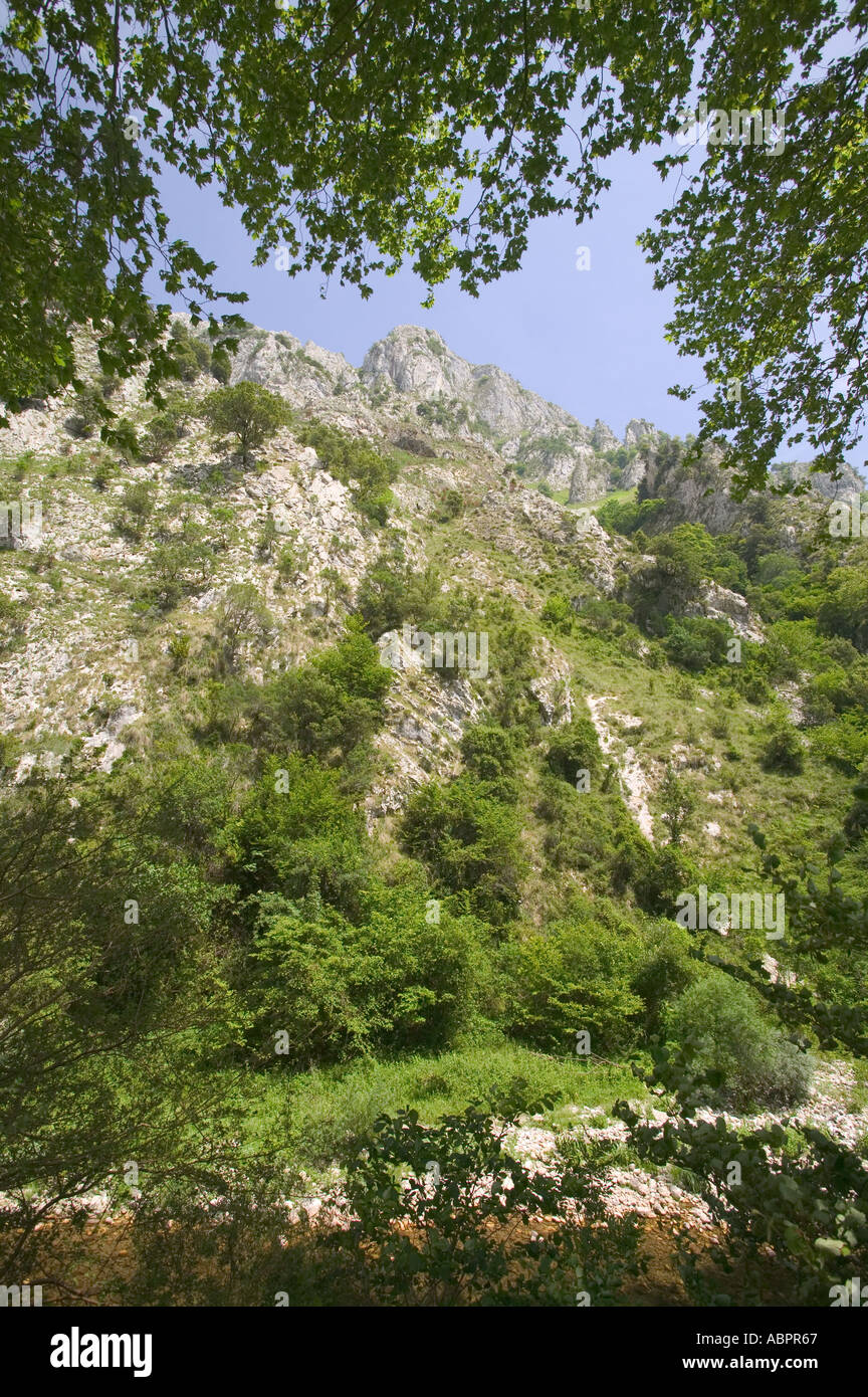 The Deva gorge Picos de europa mountains spain Stock Photo - Alamy