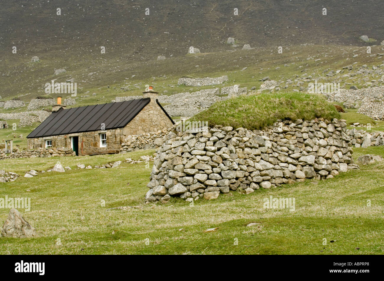 Hirta, St Kilda, Western Isles, Scotland, UK, Europe Stock Photo - Alamy