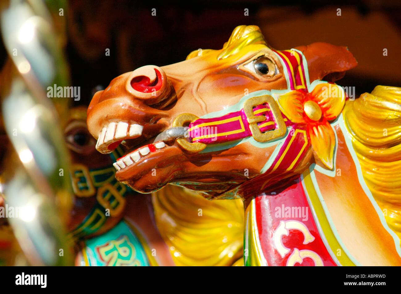 Carousel horses, York, North Yorkshire, UK Stock Photo - Alamy