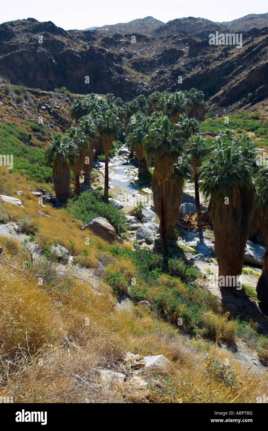 Tahquitz hi-res stock photography and images - Alamy