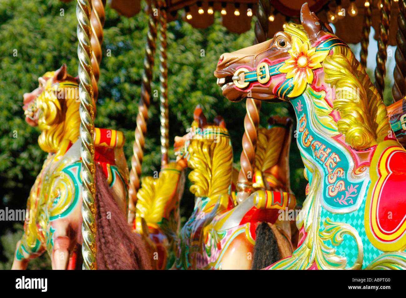 Carousel horses, York, North Yorkshire, UK Stock Photo - Alamy