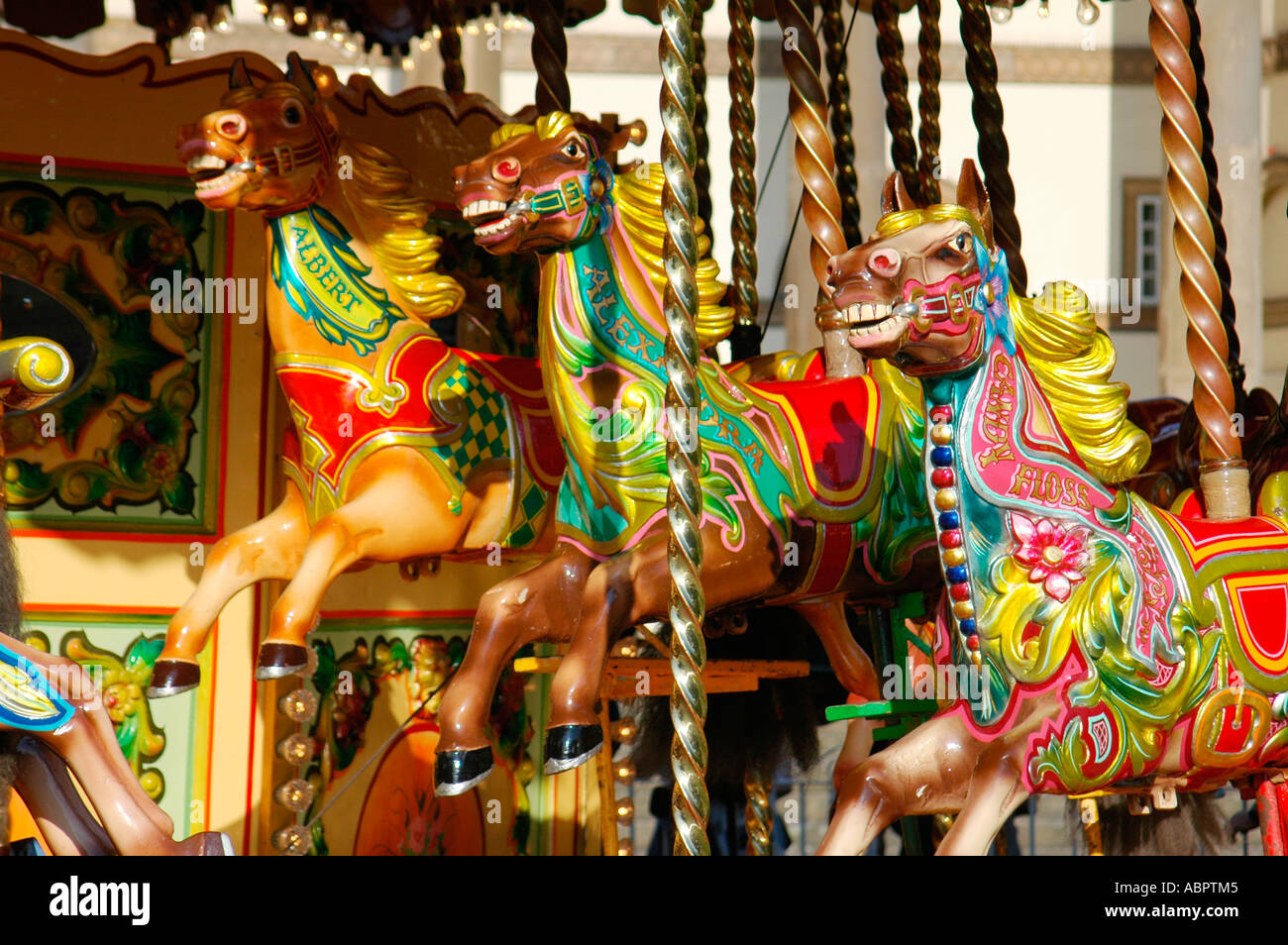 Carousel horses, York, North Yorkshire, UK Stock Photo - Alamy