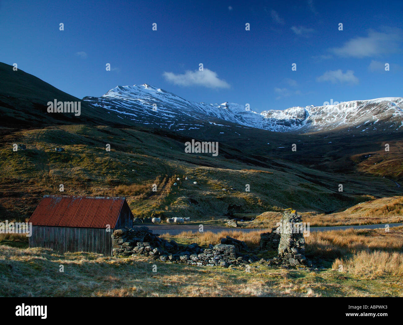 Ben Lawers Nature Reserve High Resolution Stock Photography and Images ...