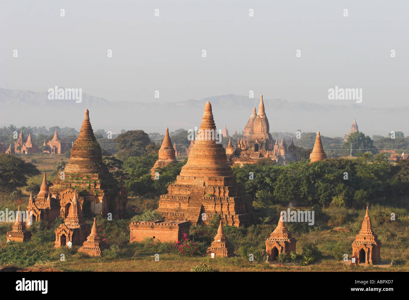 Myanmar Bagan Old Bagan View of temples from Shwesandaw Paya at dawn Stock Photo - Alamy