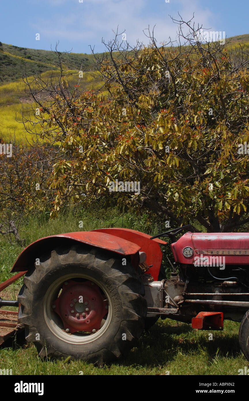 Old Red Tractor Stock Photo - Alamy