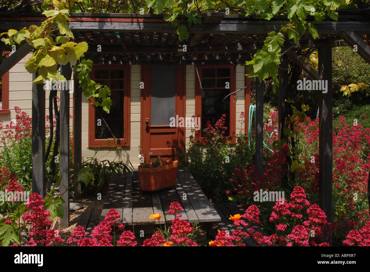 Old Ranch House Stock Photo - Alamy