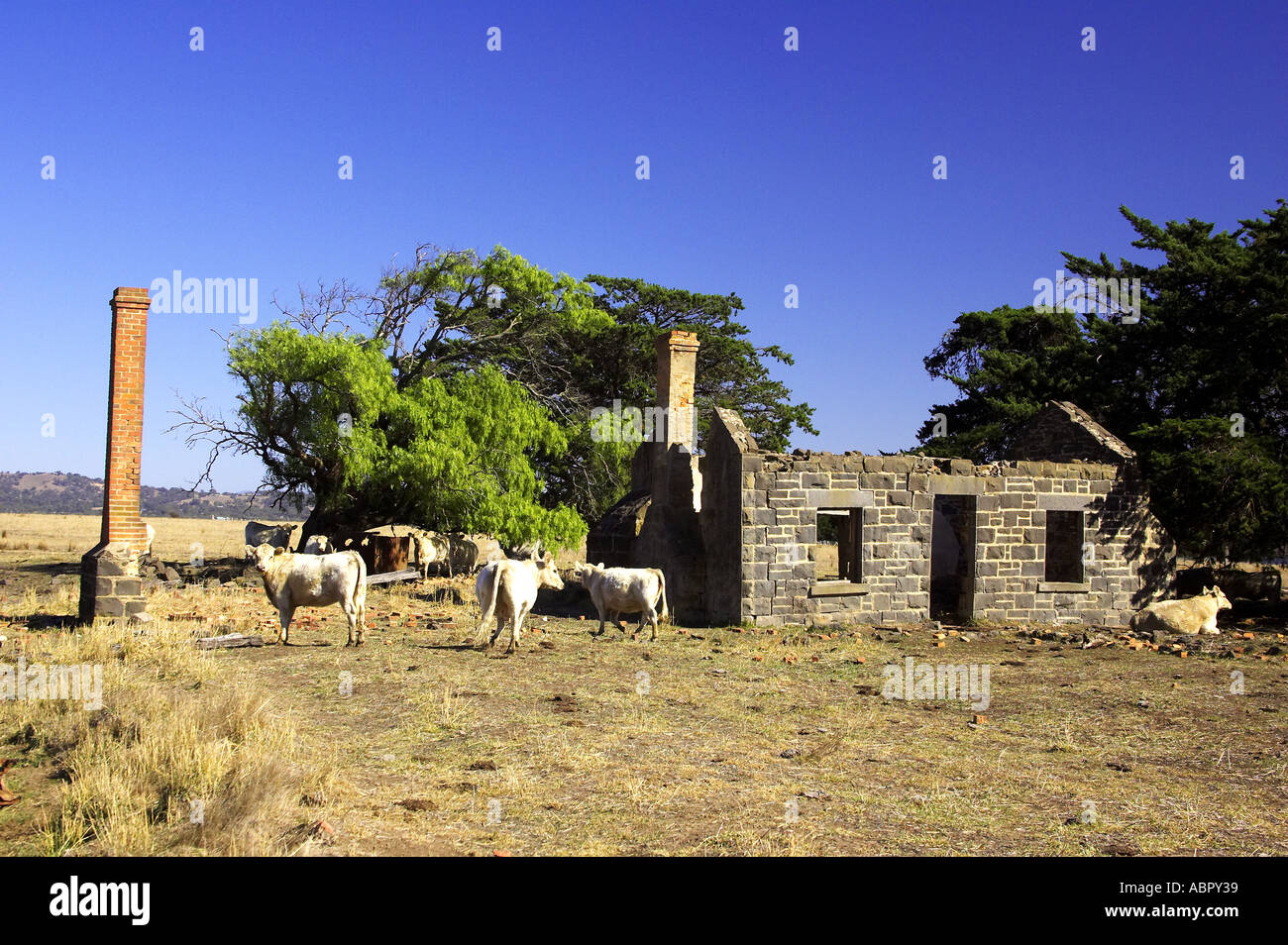Australian cottage paddock hi-res stock photography and images - Alamy