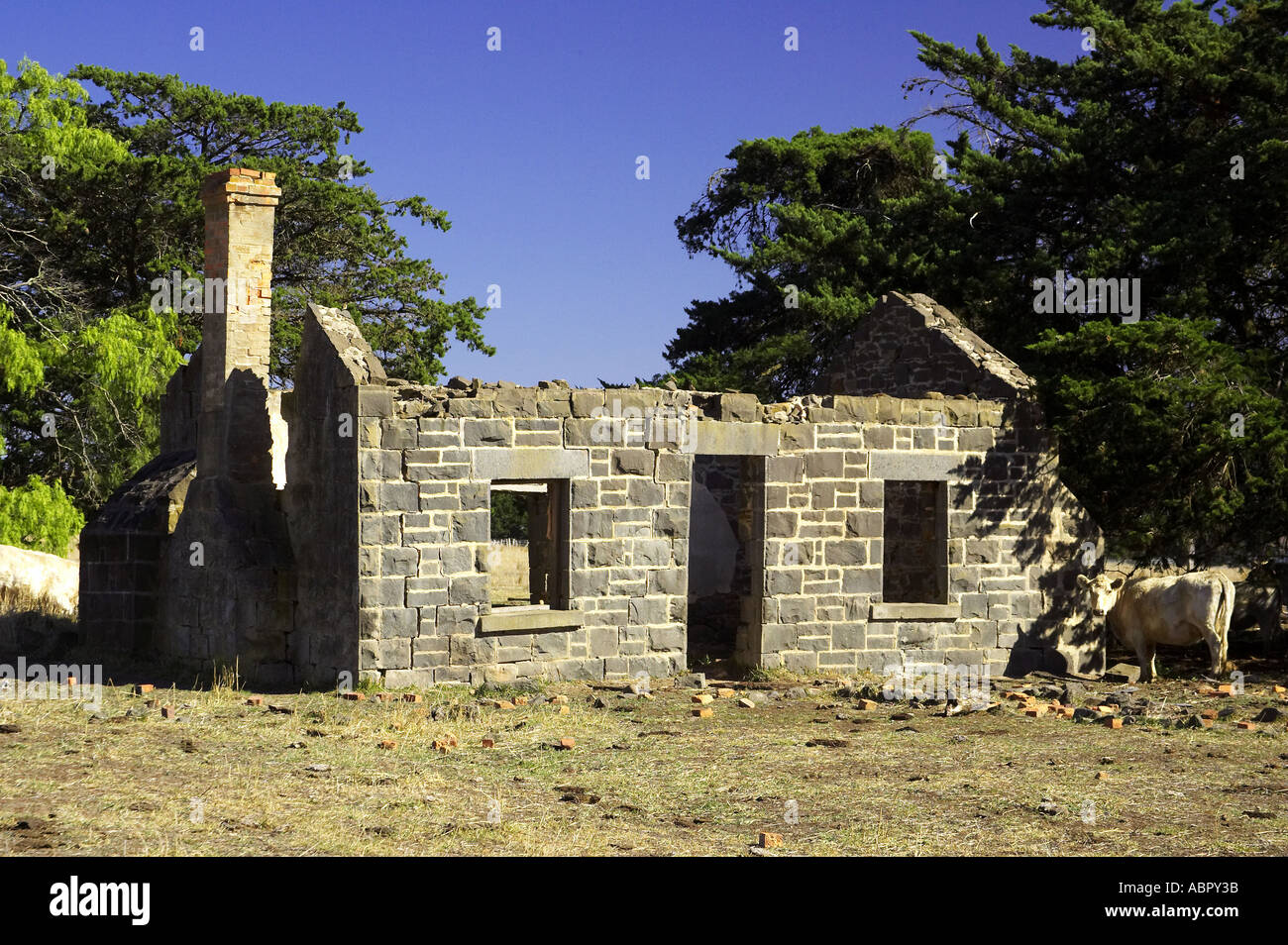 Australian cottage paddock hi-res stock photography and images - Alamy