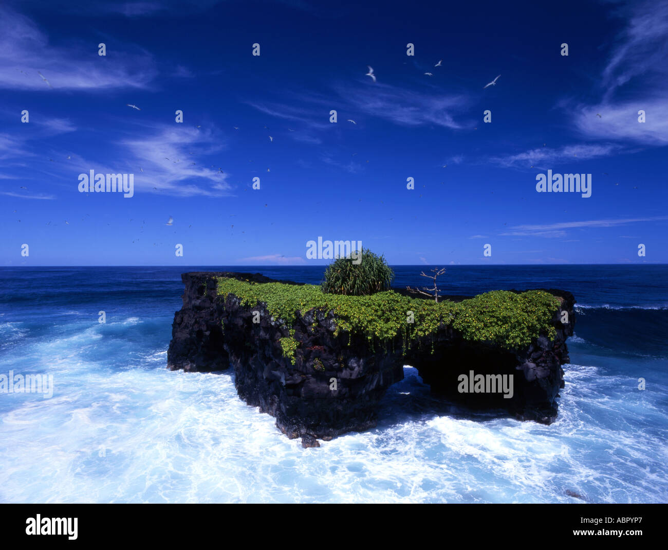 Coastal conservation hi-res stock photography and images - Alamy