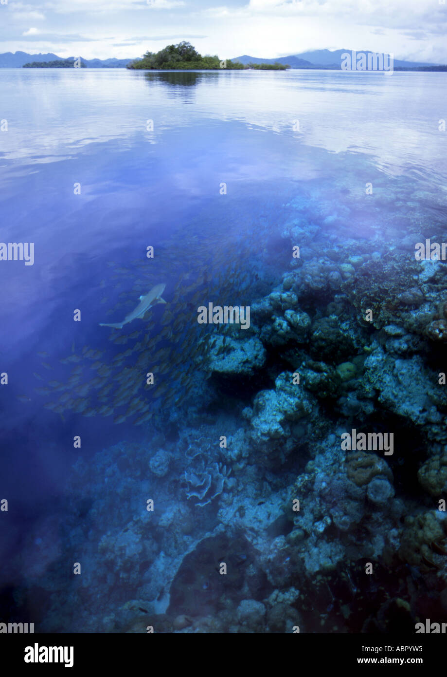 Marovo lagoon solomon islands south pacific melanesia hi-res stock ...