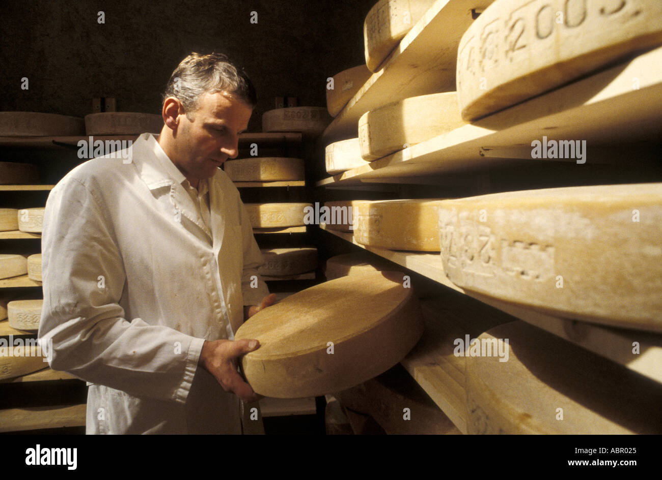 Maier hi-res stock photography and images - Alamy