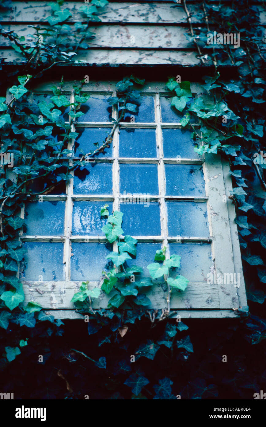 Window lites hi-res stock photography and images - Alamy