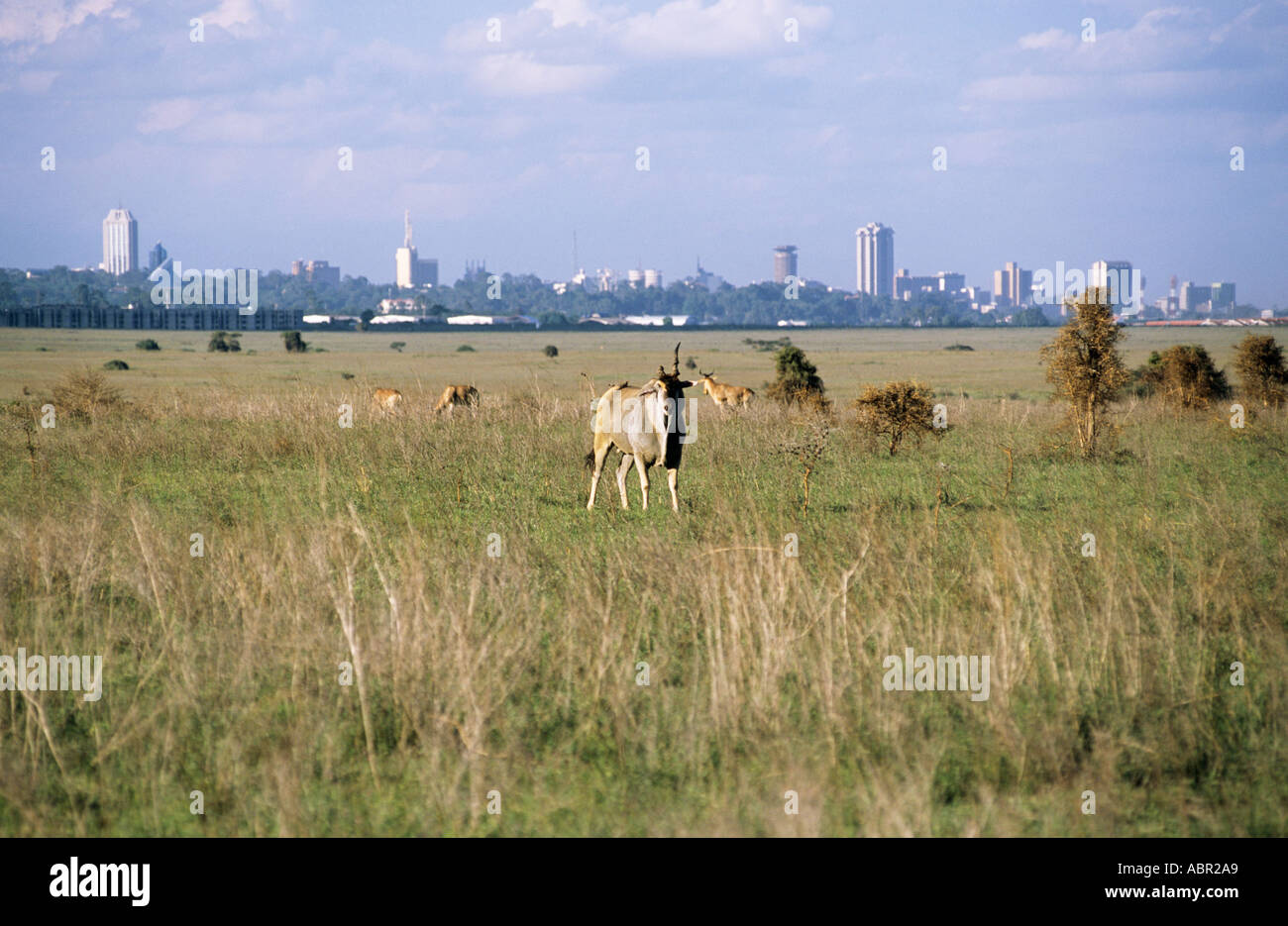 Check Upon Overgrazing