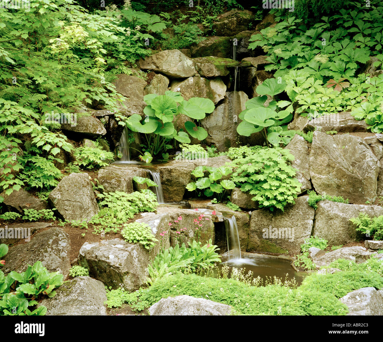 Detail of Japanese Garden in the Private Cabot Gardens in La Malbaie ...