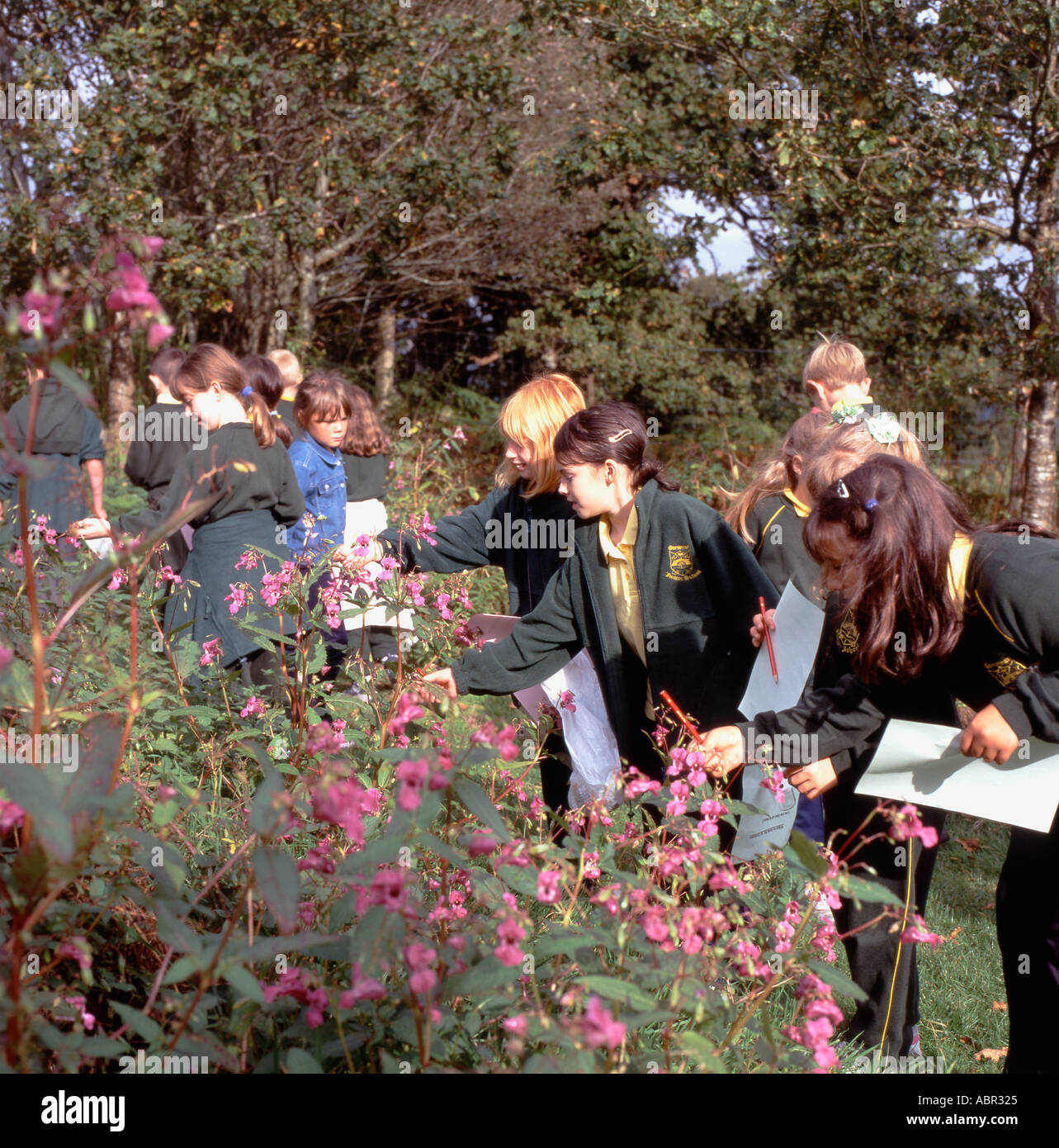 Schoolchildren on school trip to Gelli Aur park looking at Himalayan ...
