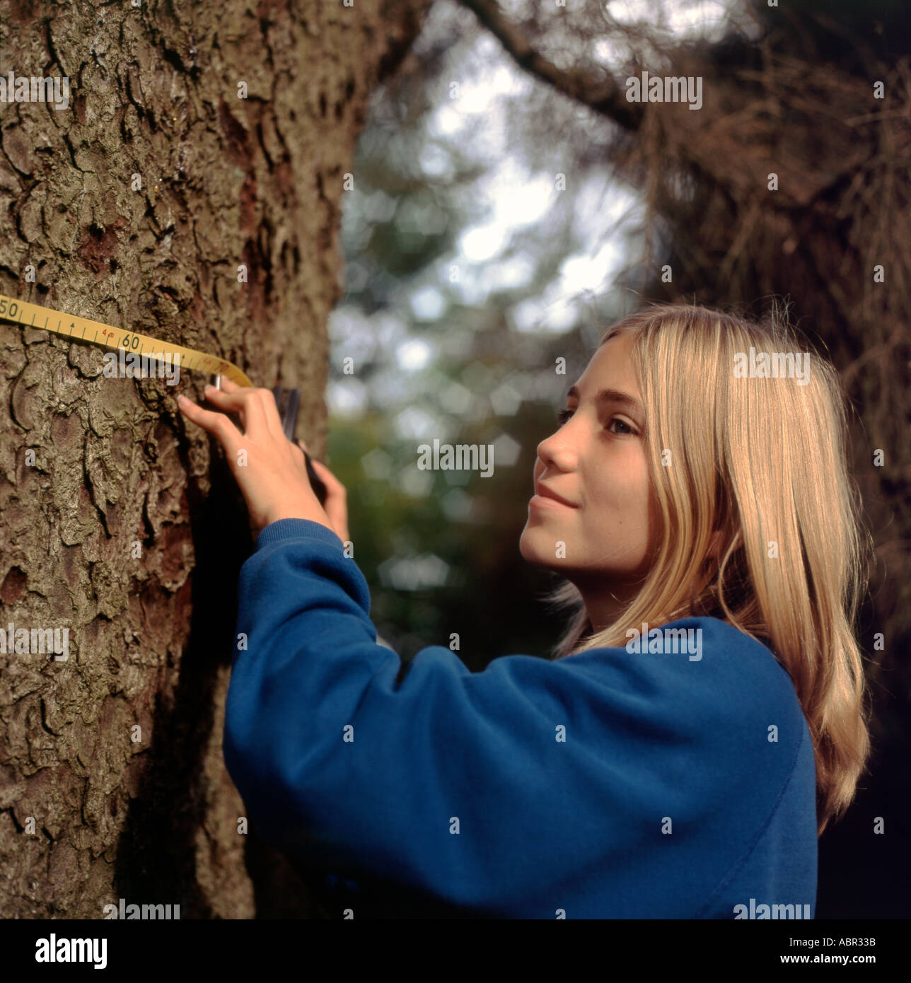 Children measuring tree hi-res stock photography and images - Alamy