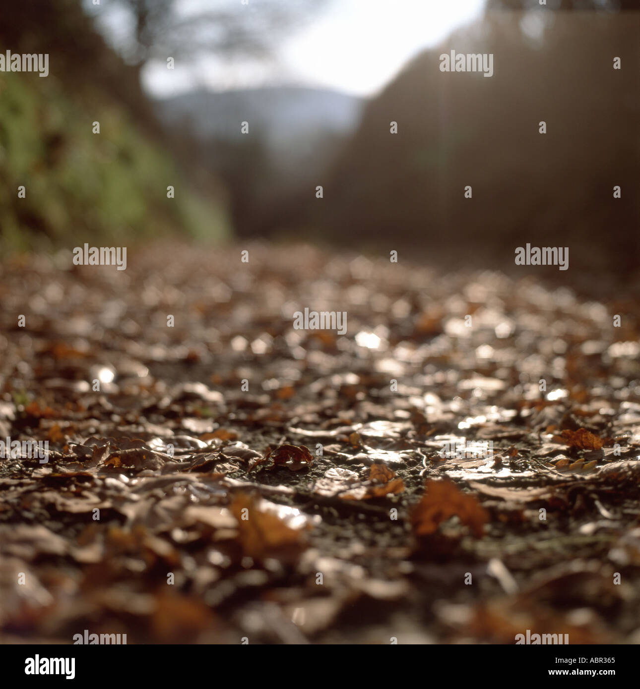 Dead Country High Resolution Stock Photography and Images - Alamy