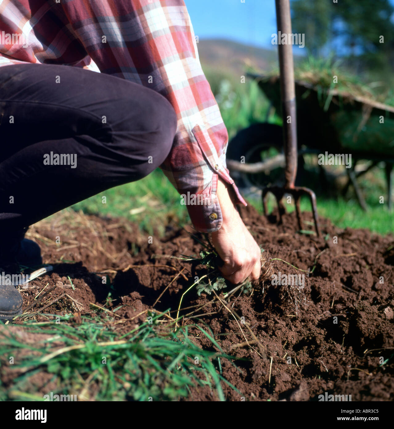 Turf digging hi-res stock photography and images - Alamy