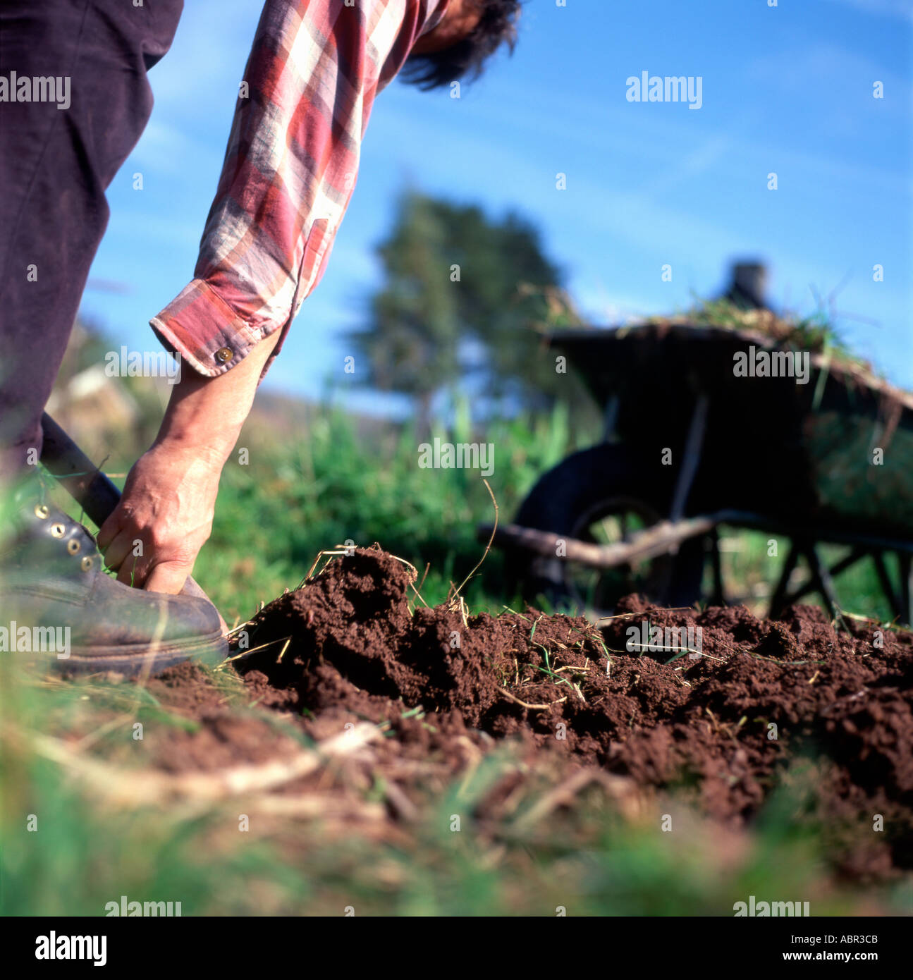 Man bending over digging garden hi-res stock photography and images - Alamy
