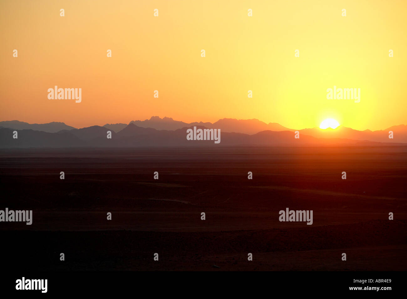River in middle sahara desert hi-res stock photography and images - Alamy