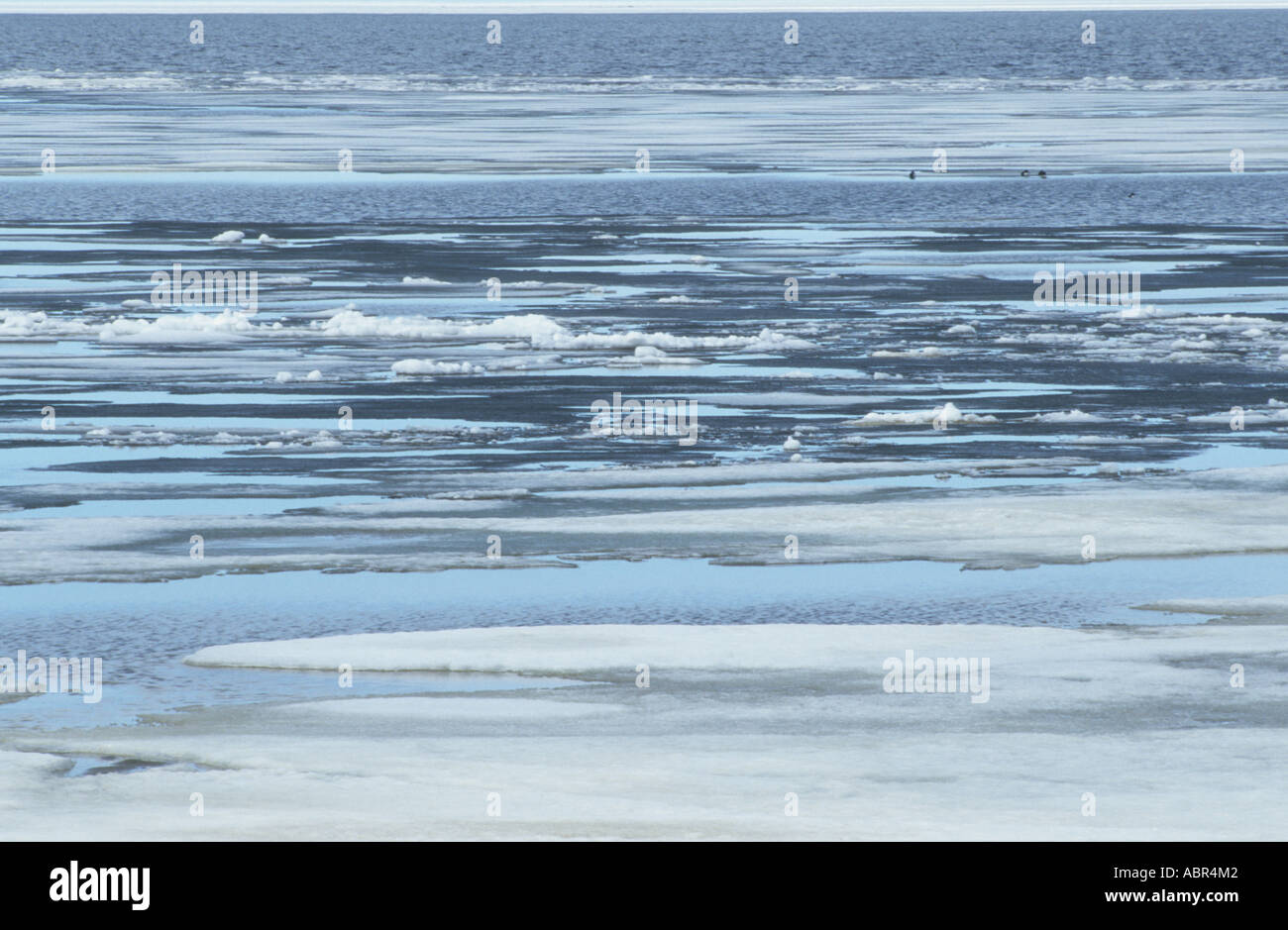 Frozen Sea Gulf of Bothnia Oulu Region Finland Stock Photo - Alamy
