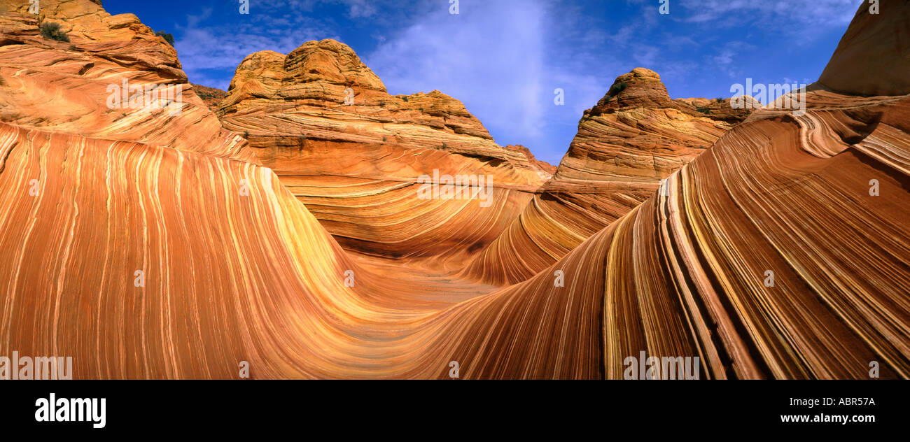 The Wave Coyote Buttes in the Pariah Wilderness Area of Southern Utah ...