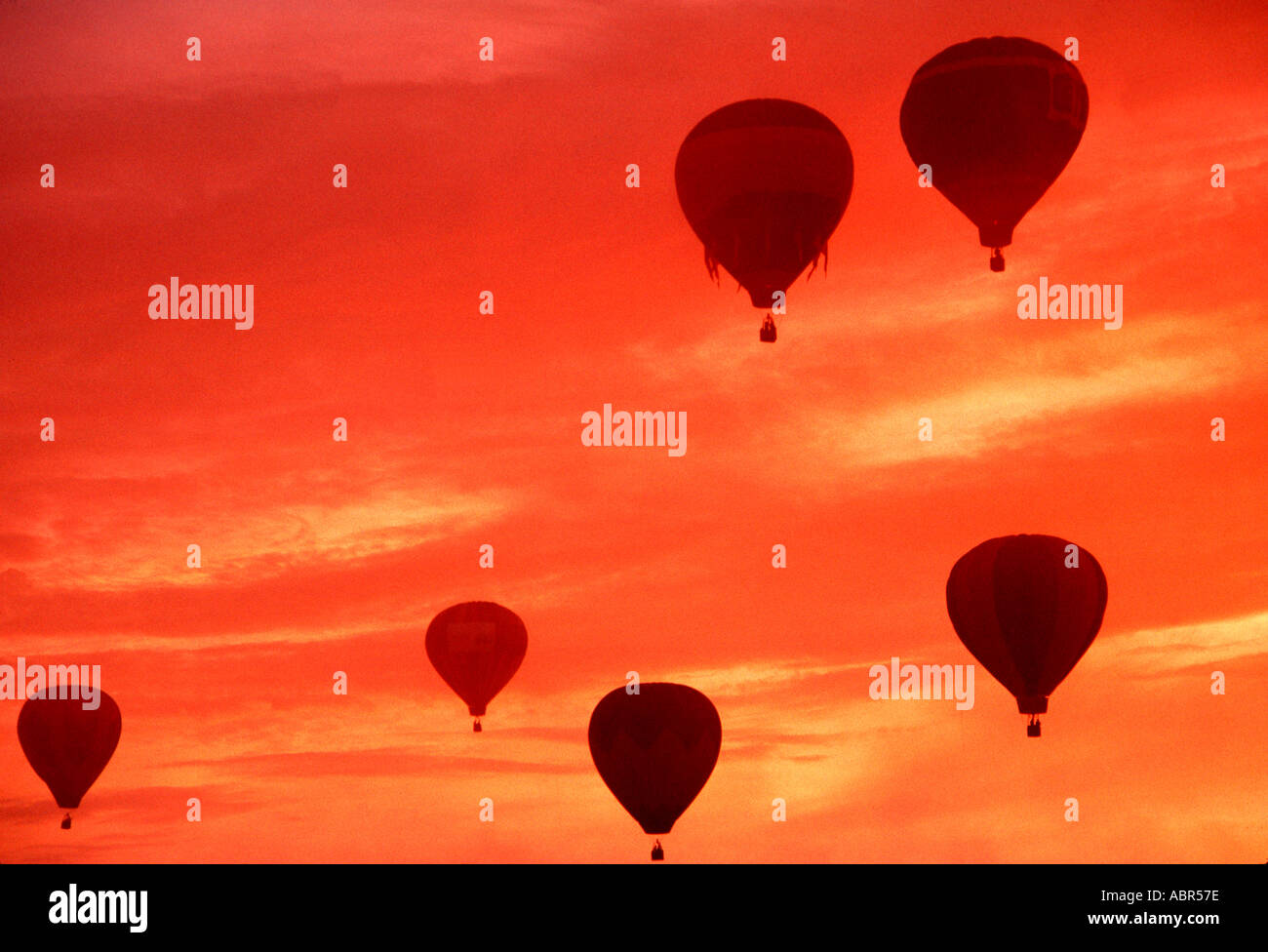 Hot air balloons rising in the dawn sky Stock Photo - Alamy