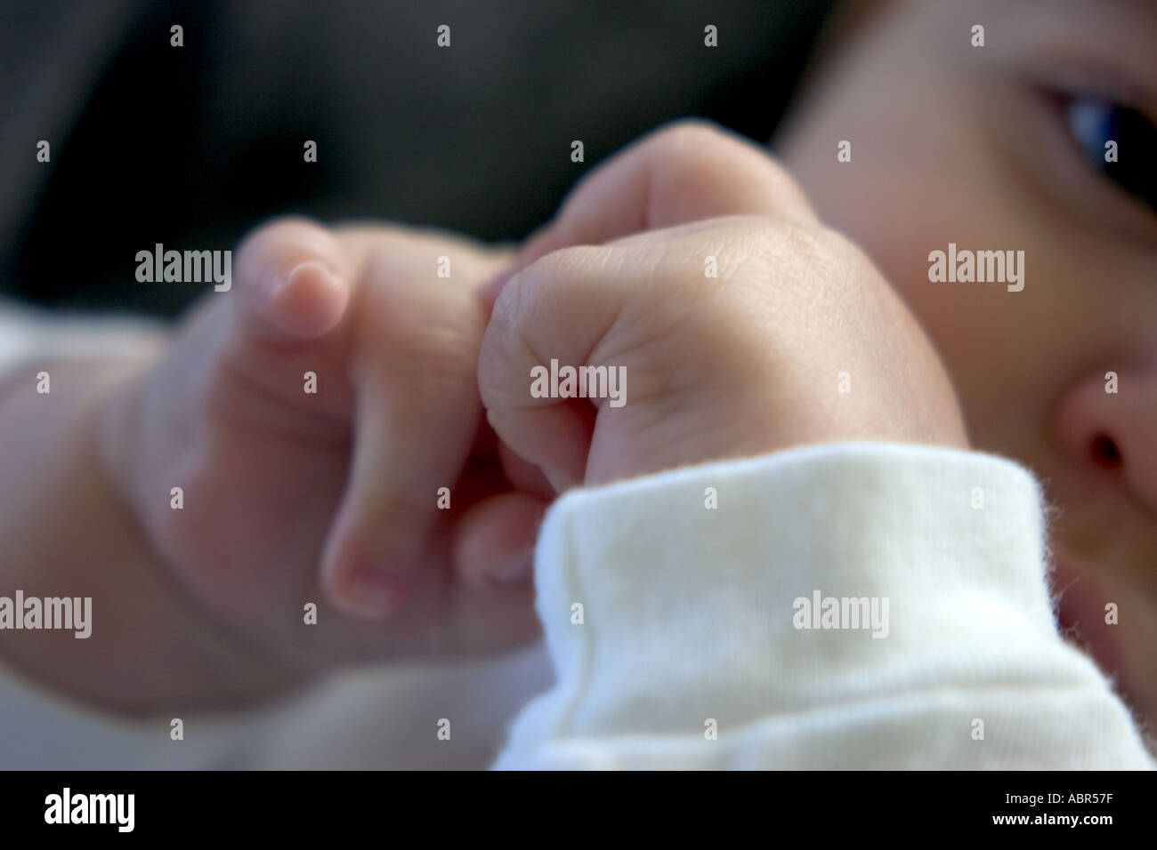 Hands of Three Month Old Baby Girl Stock Photo - Alamy