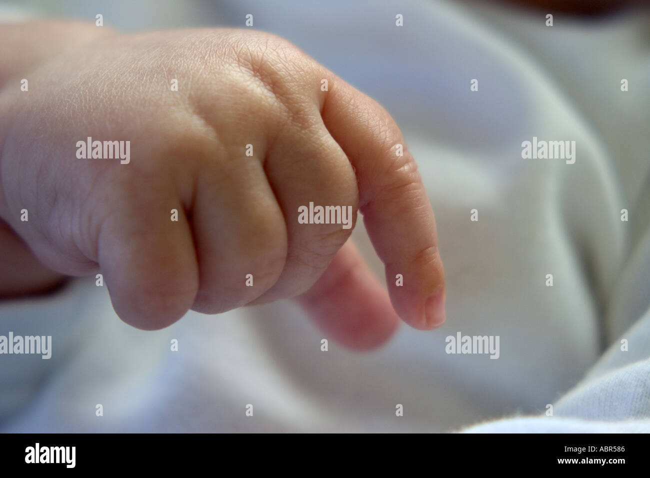 Hand of three month old baby Stock Photo - Alamy