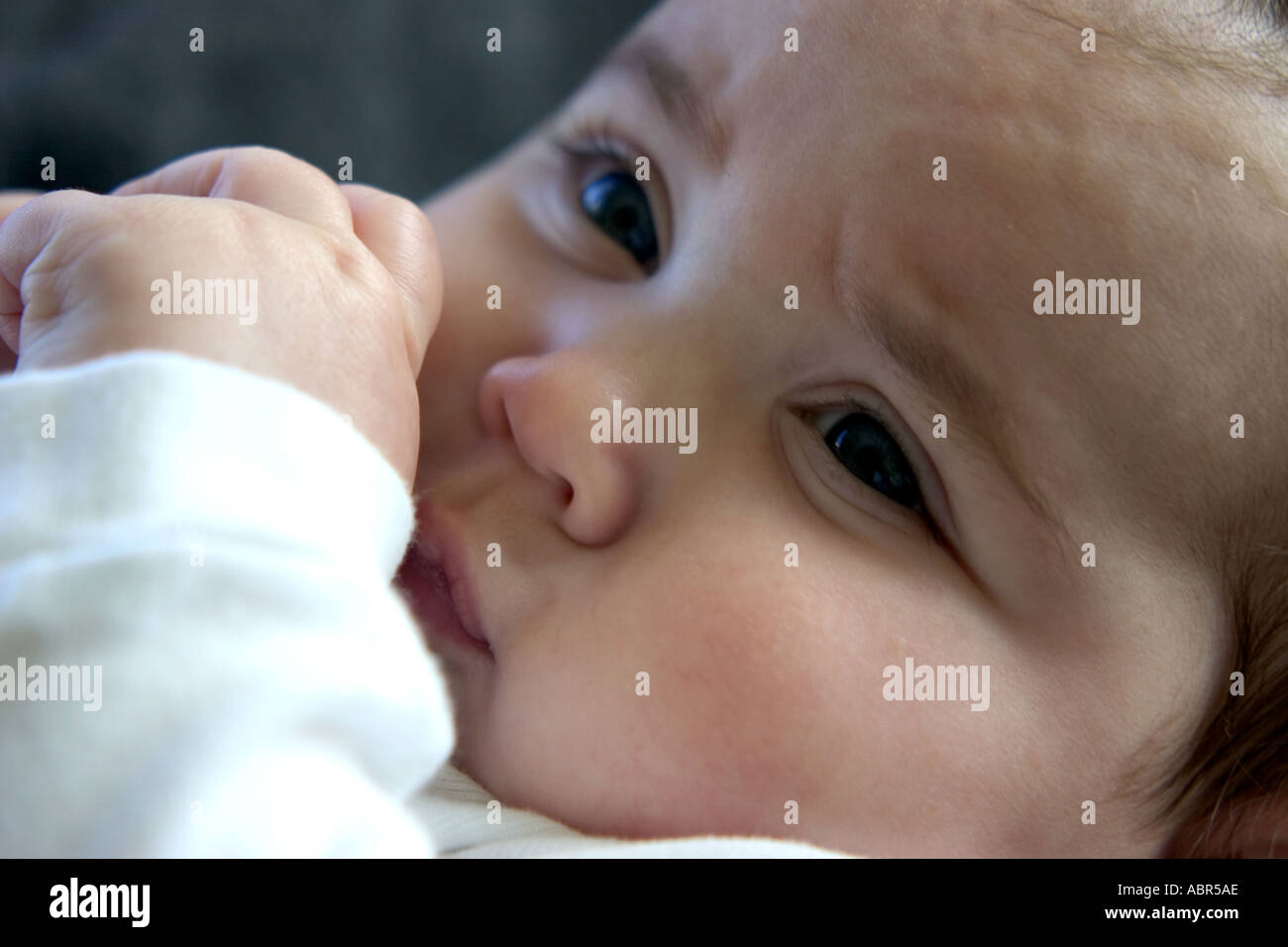 three month old baby Stock Photo - Alamy