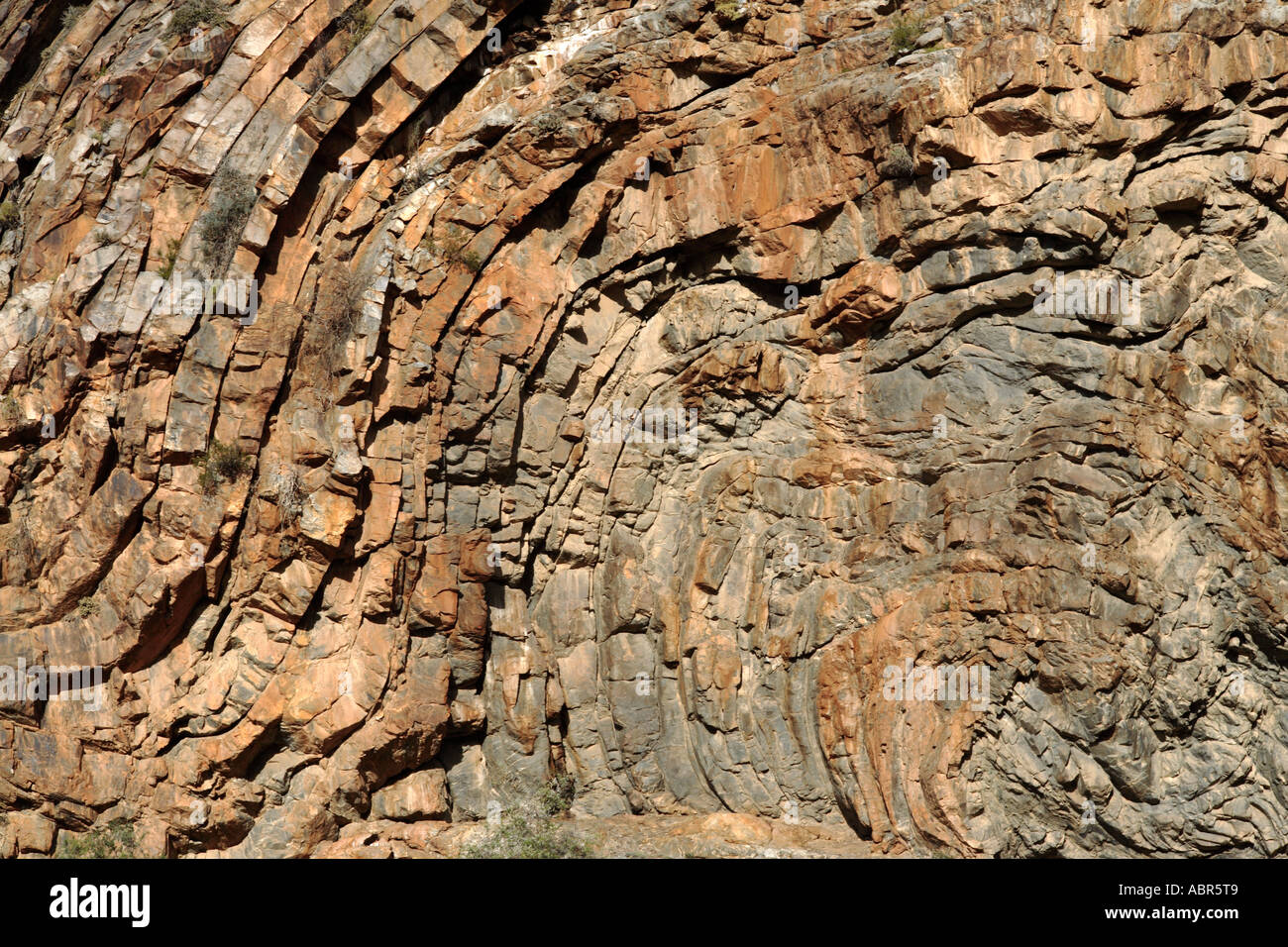 Stratified rock formation Swartberg South Africa Stock Photo - Alamy