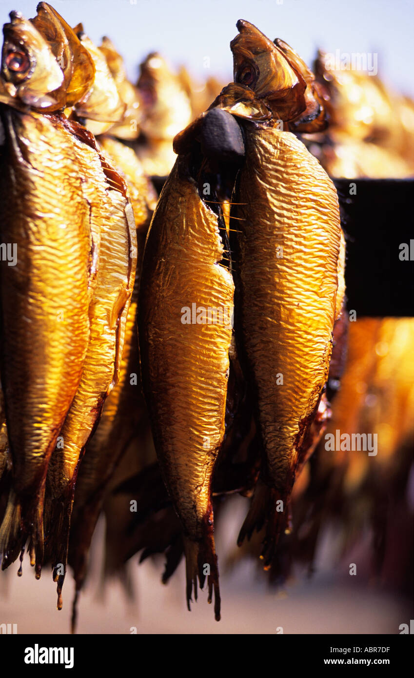Smoked herring hanging up to dry in the small fishing village of ...