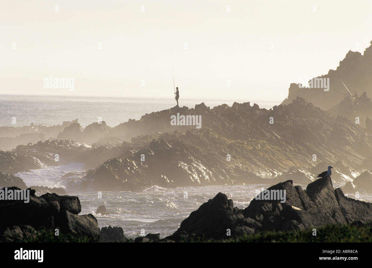 Protruding ridge hi-res stock photography and images - Alamy