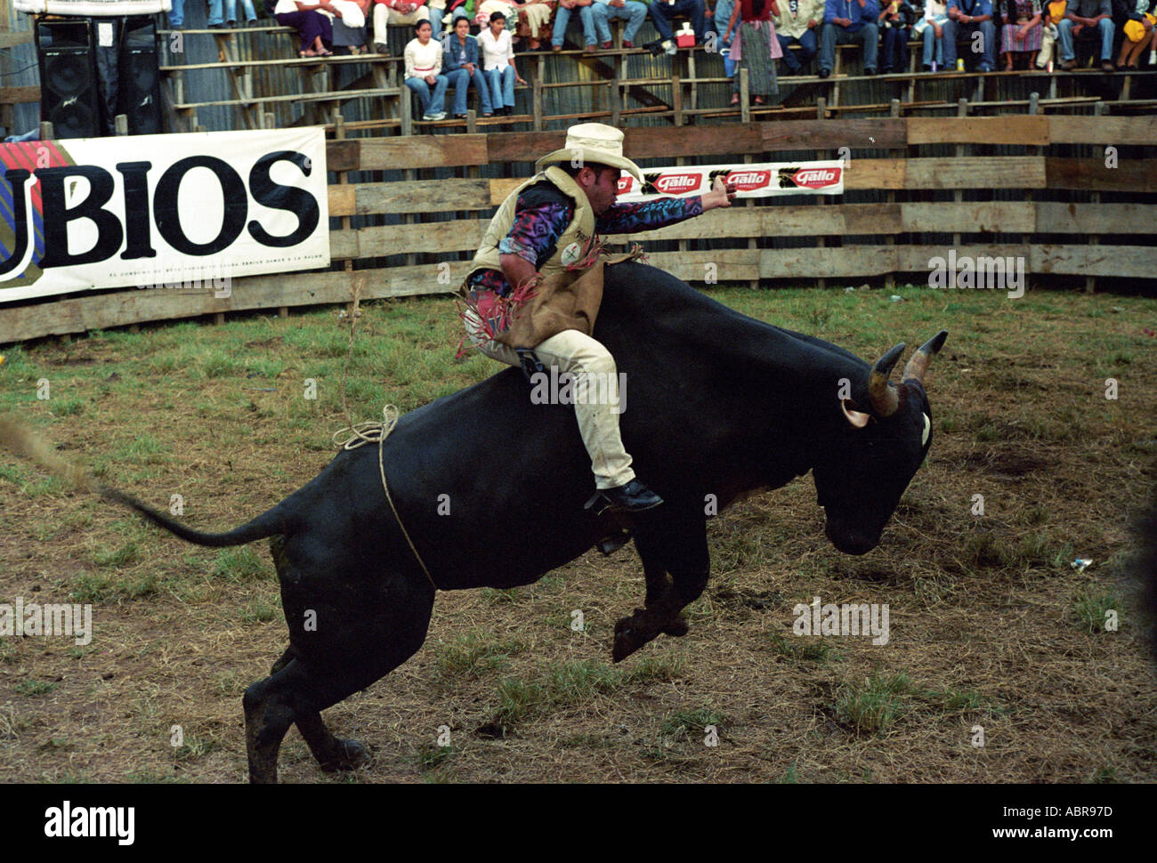 Riding bull ring hi-res stock photography and images - Alamy