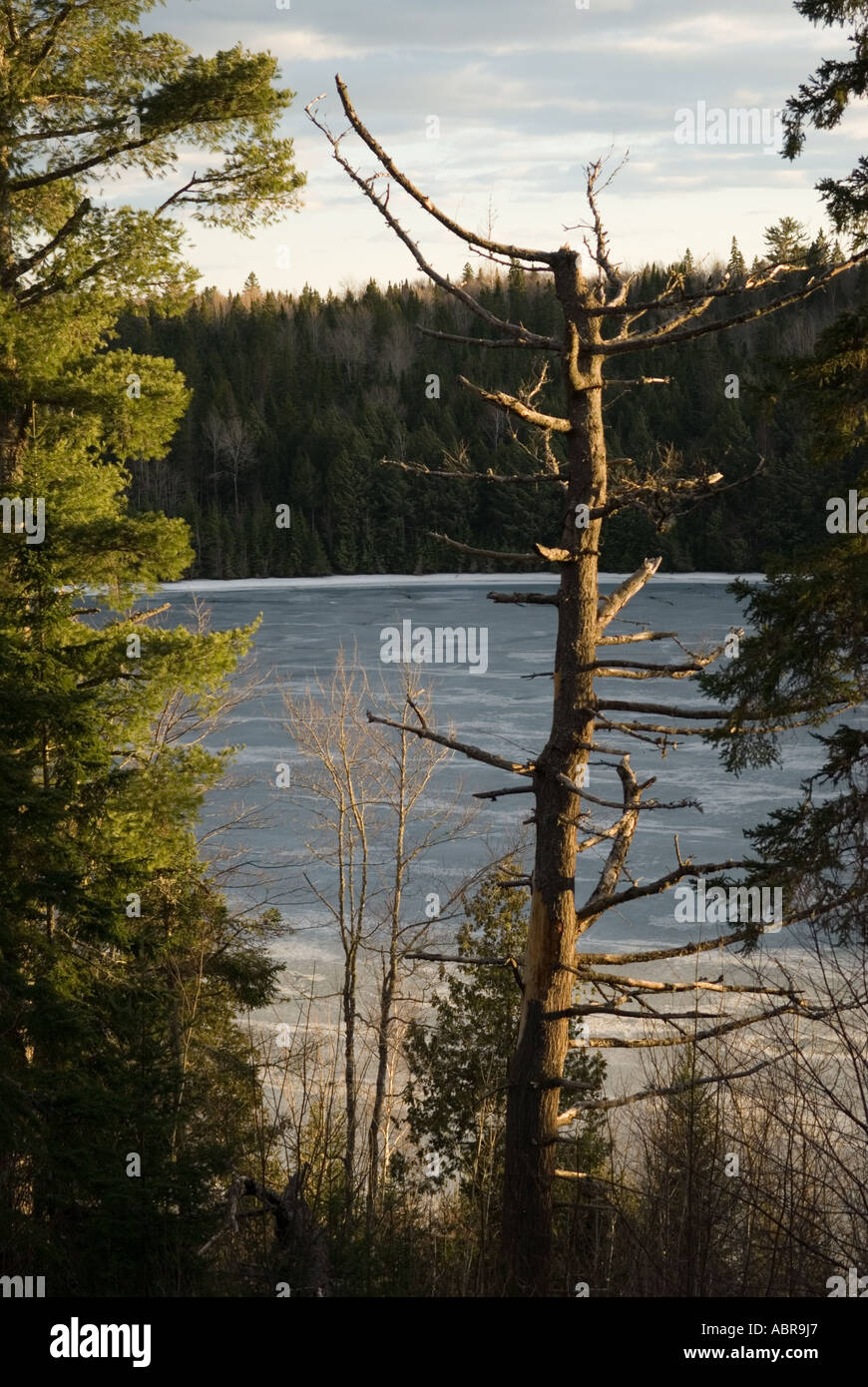 Dead white hi-res stock photography and images - Alamy